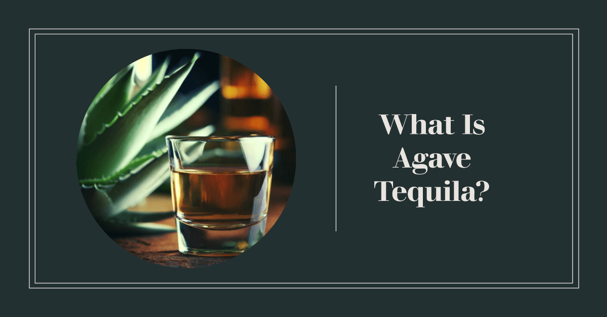 ¿Qué es el tequila de agave? - Ingcho